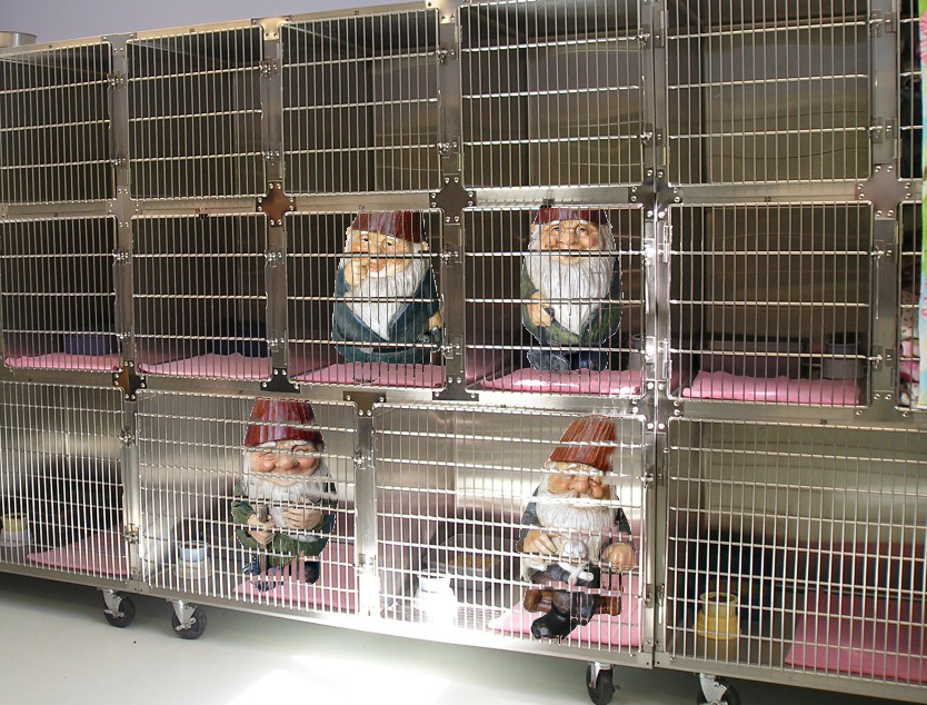 Researchers in Gnome Science Building Continue Cutting Edge Gnome ...